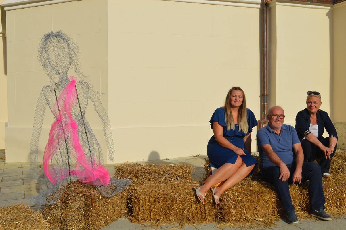 INICIJATORICA VESNA VRANDEČIĆ: Cilj je pokazati da Desinić, uz sve ...